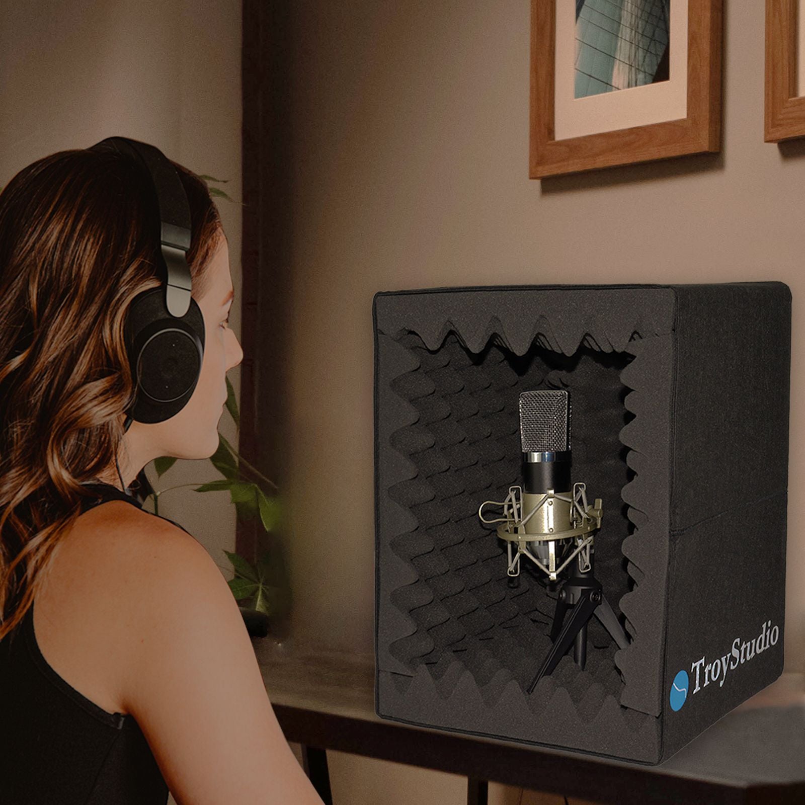 TroyStudio Portable Recording Vocal Booth - Large, Foldable, Stand Mou ...